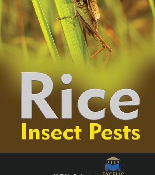 Rice Insect Pests – Excelic Press