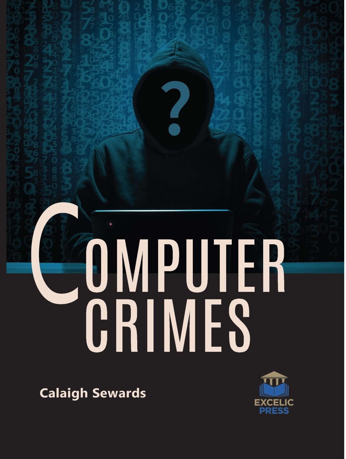 Computer Crimes – Excelic Press